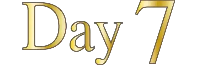 Day7シリーズ - 一週間毎日使い、美しくなって欲しいという願いを込めました